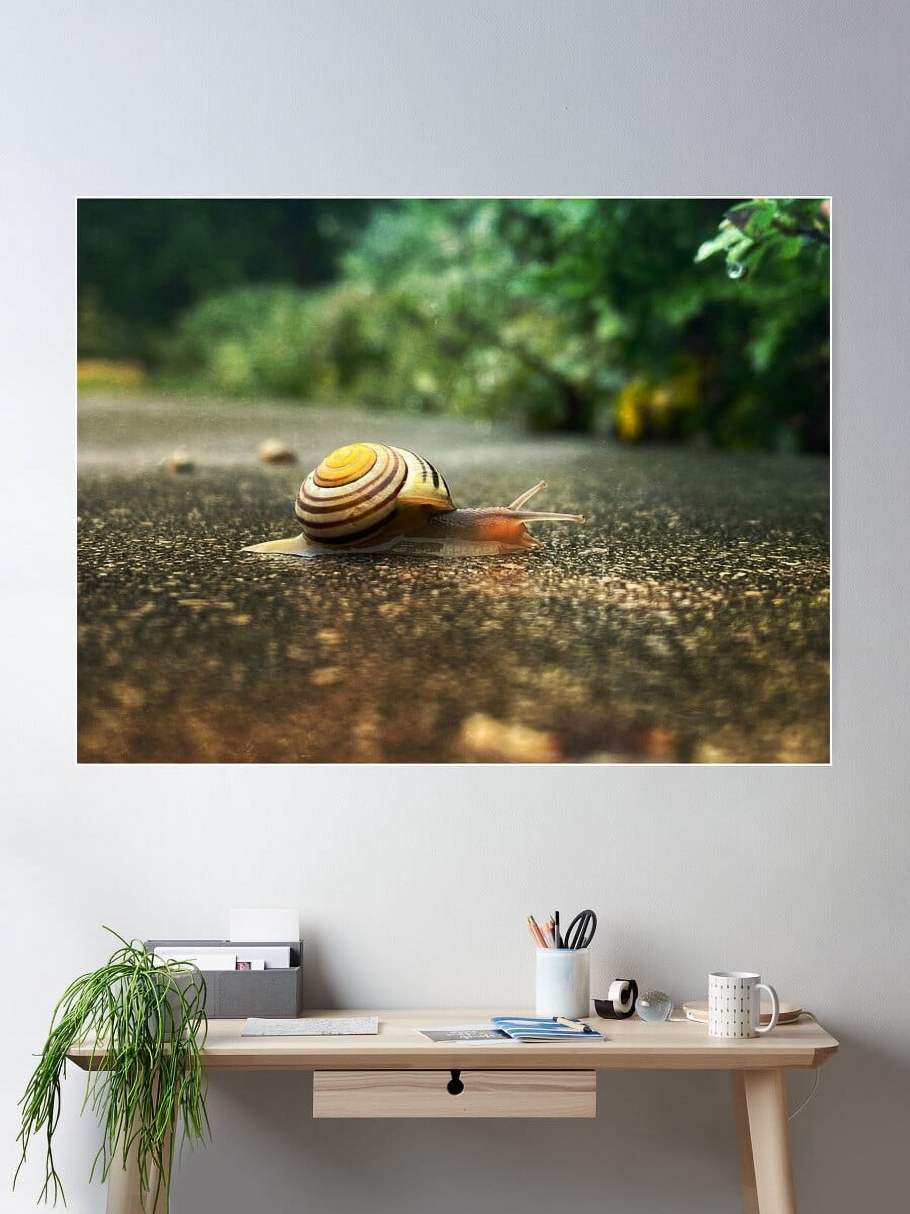 Kna Prints - 1 Pc Poster A Snail'S Pace, UNFRAMED-8x12 - Walmart.com