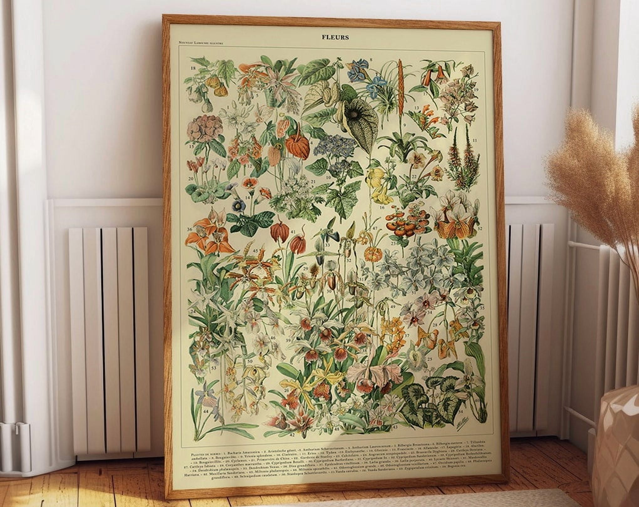 Kna Prints - 1 Pc Poster Adolph Millot Wall Art Of Colorful Flowers ...