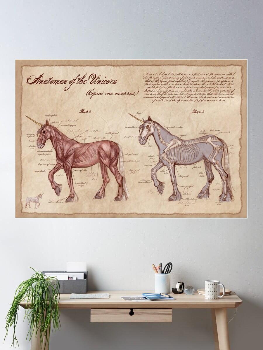 Kna Prints - 1 Pc Poster Anatomy Of The Icorn, UNFRAMED-16x24 - Walmart.com