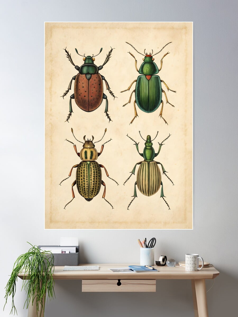 Kna Prints - 1 Pc Poster Antique Lithography With Insects, UNFRAMED ...