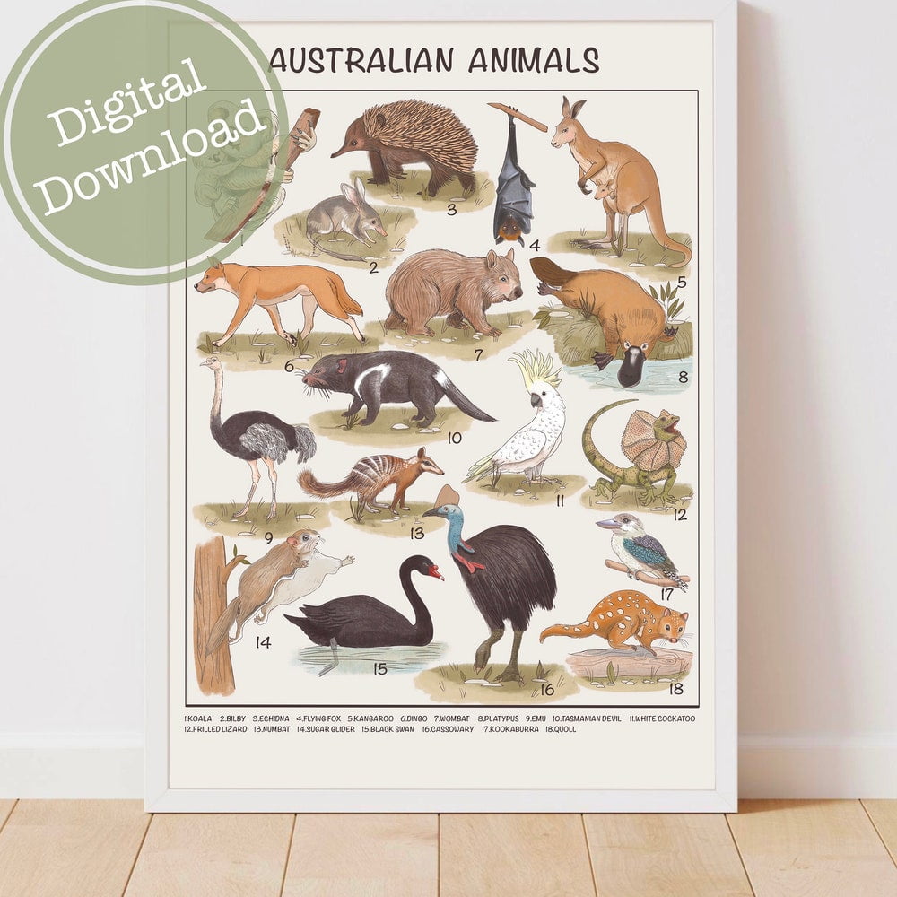 Kna Prints - 1 Pc Poster Australian Animals Educational Poster ...