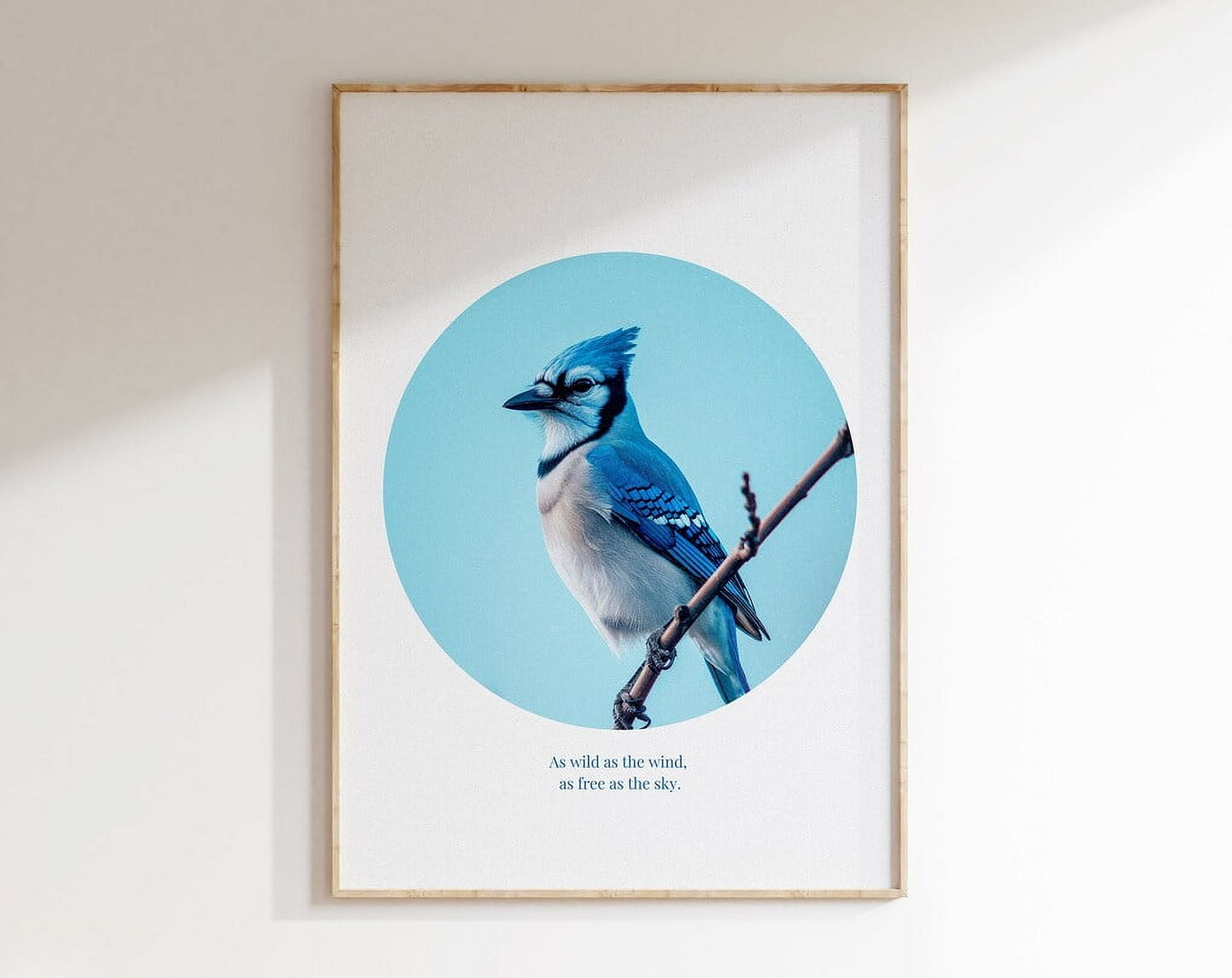 Kna Prints - 1 Pc Poster Blue Jay'S Gaze, Beach House Decor, Calming ...