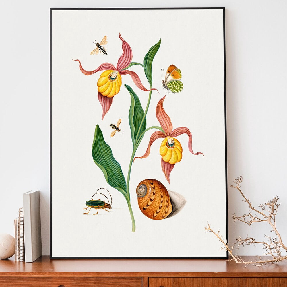 Kna Prints - 1 Pc Poster Botanical Illustration Art Print, James Bolton ...