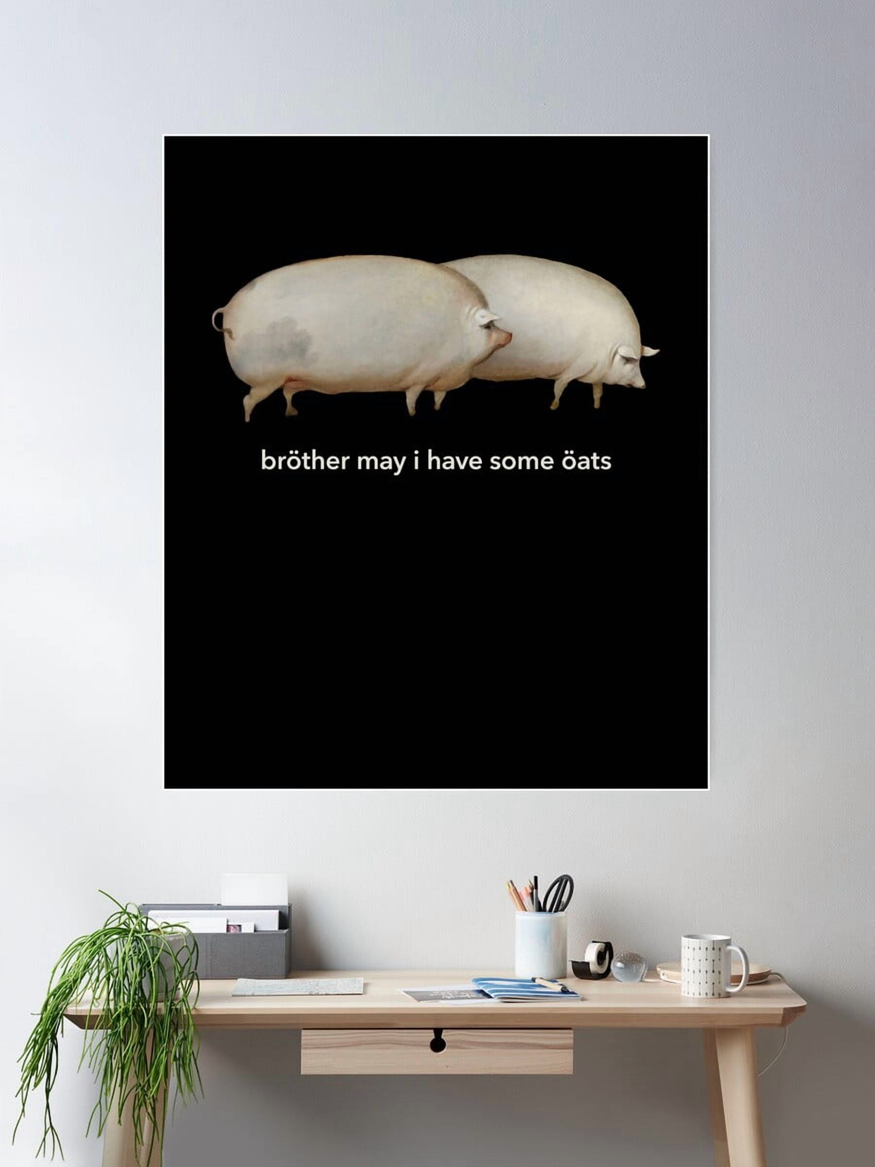 Kna Prints - 1 Pc Poster Brother May I Have Some Oats, Classic Meme ...