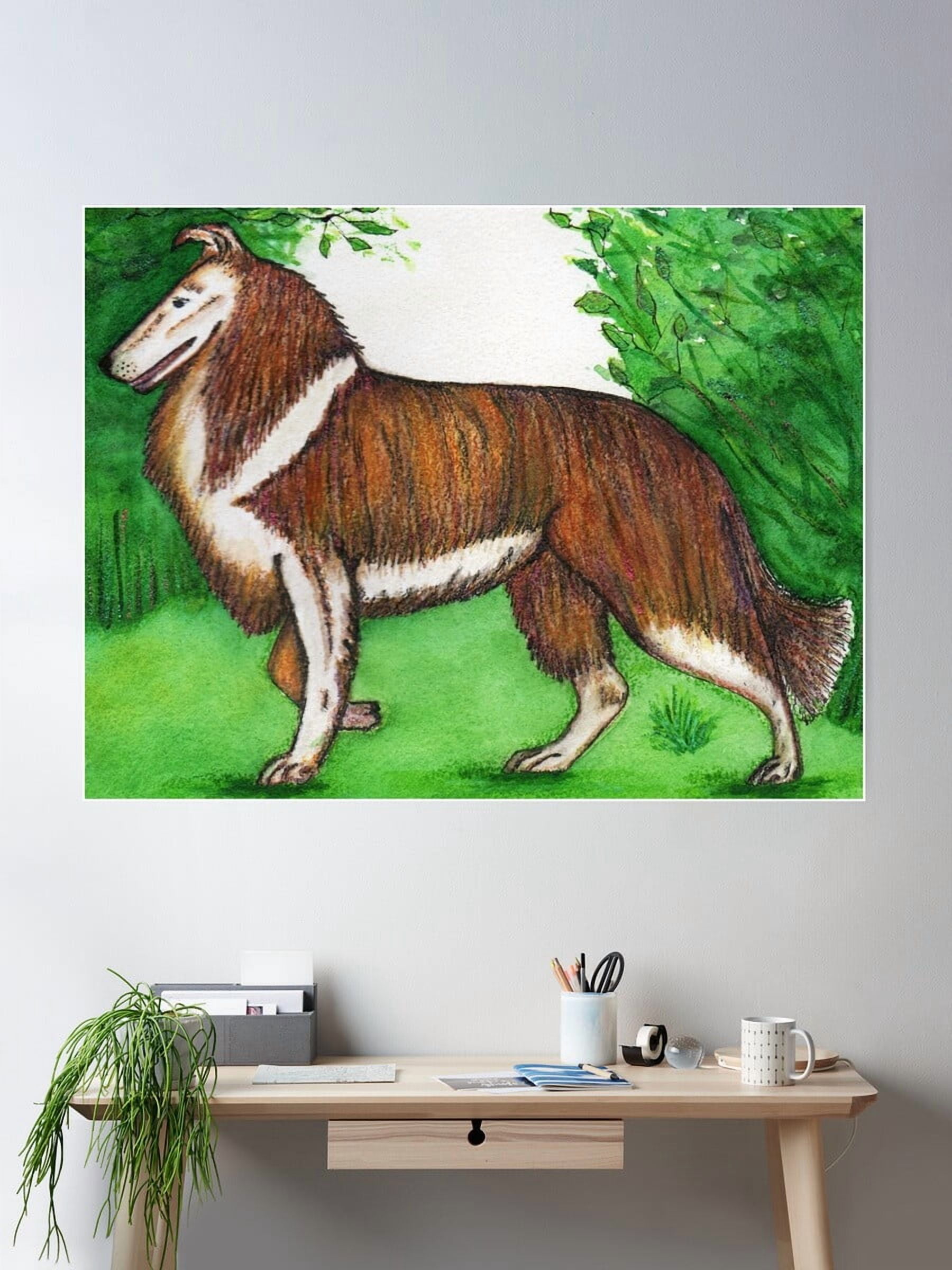 Kna Prints - 1 Pc Poster Cassius... The King Of Rough Collies, UNFRAMED ...