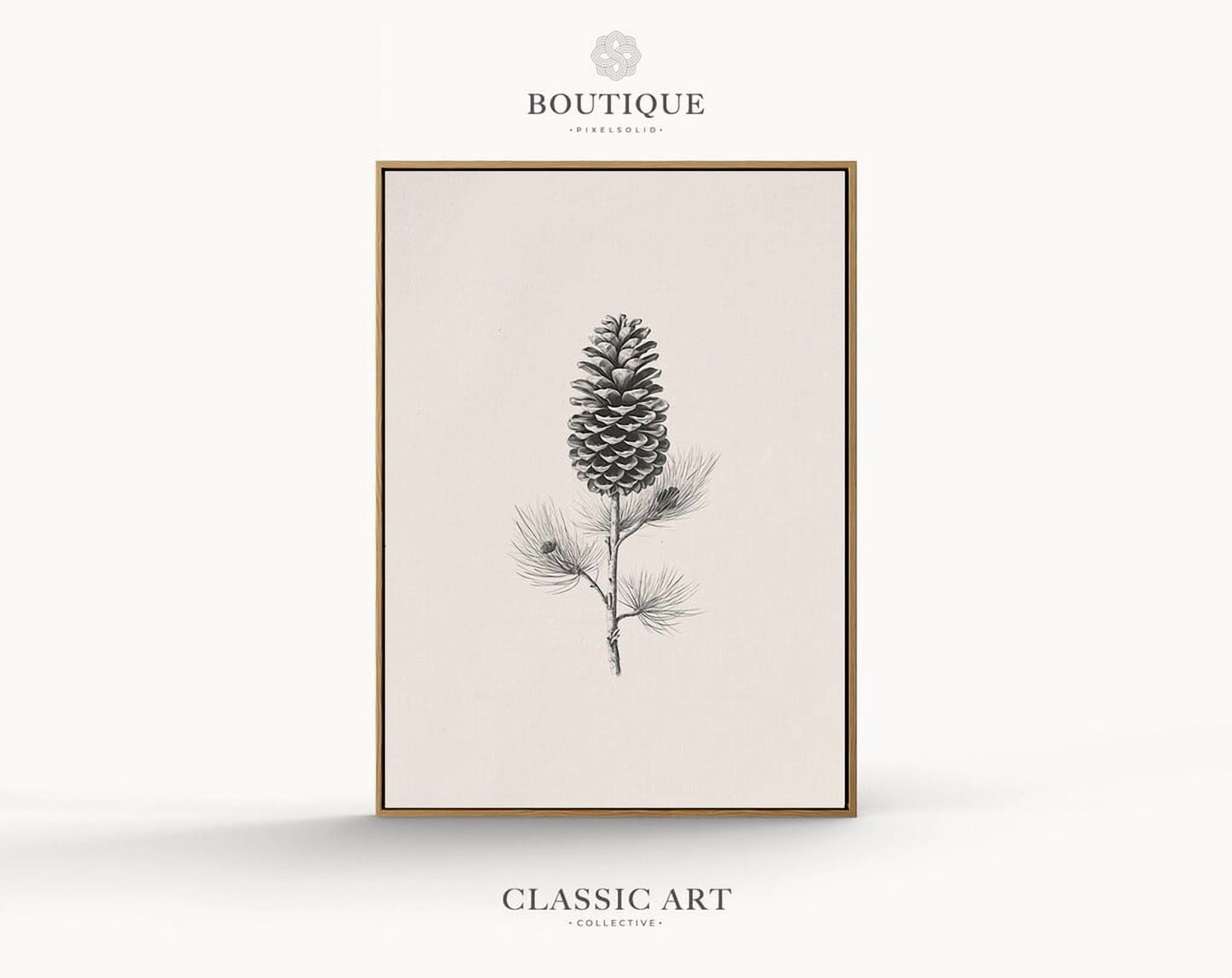 Kna Prints - 1 Pc Poster Classic Holiday Pine Cone Sketch, Christmas ...