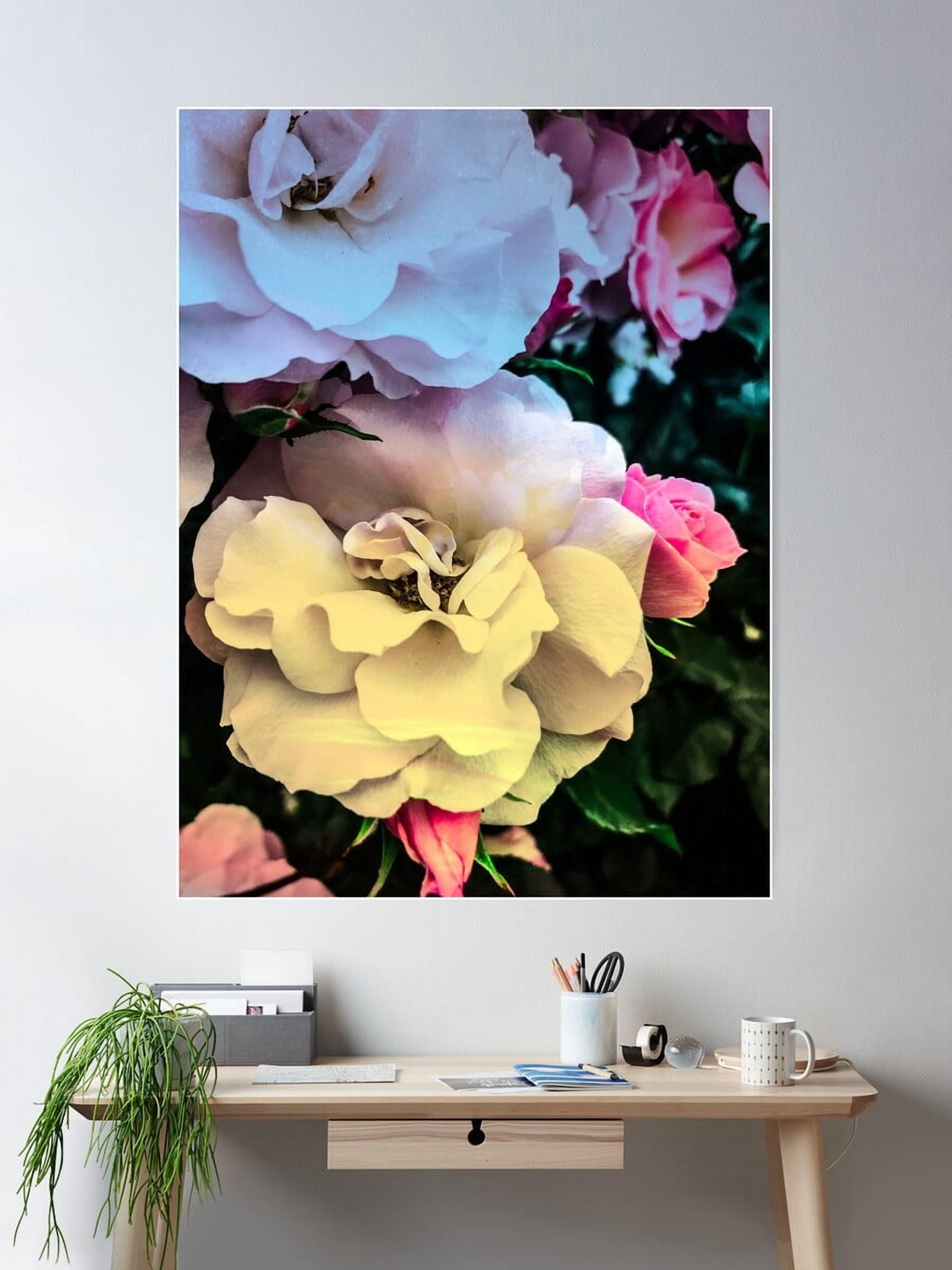 Kna Prints - 1 Pc Poster Colourful In A Rose Garden, UNFRAMED-8x12 ...