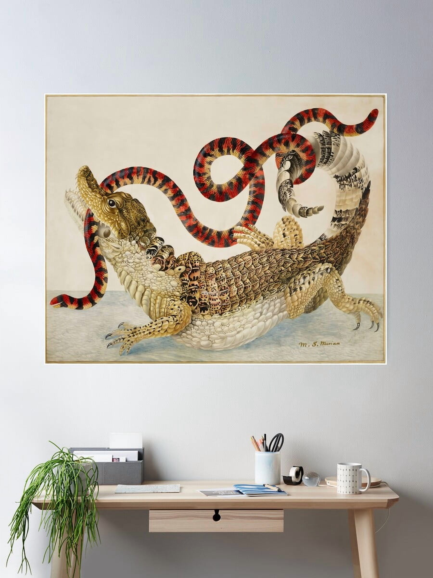 Kna Prints - 1 Pc Poster Common Or Spectacled Caiman With South ...