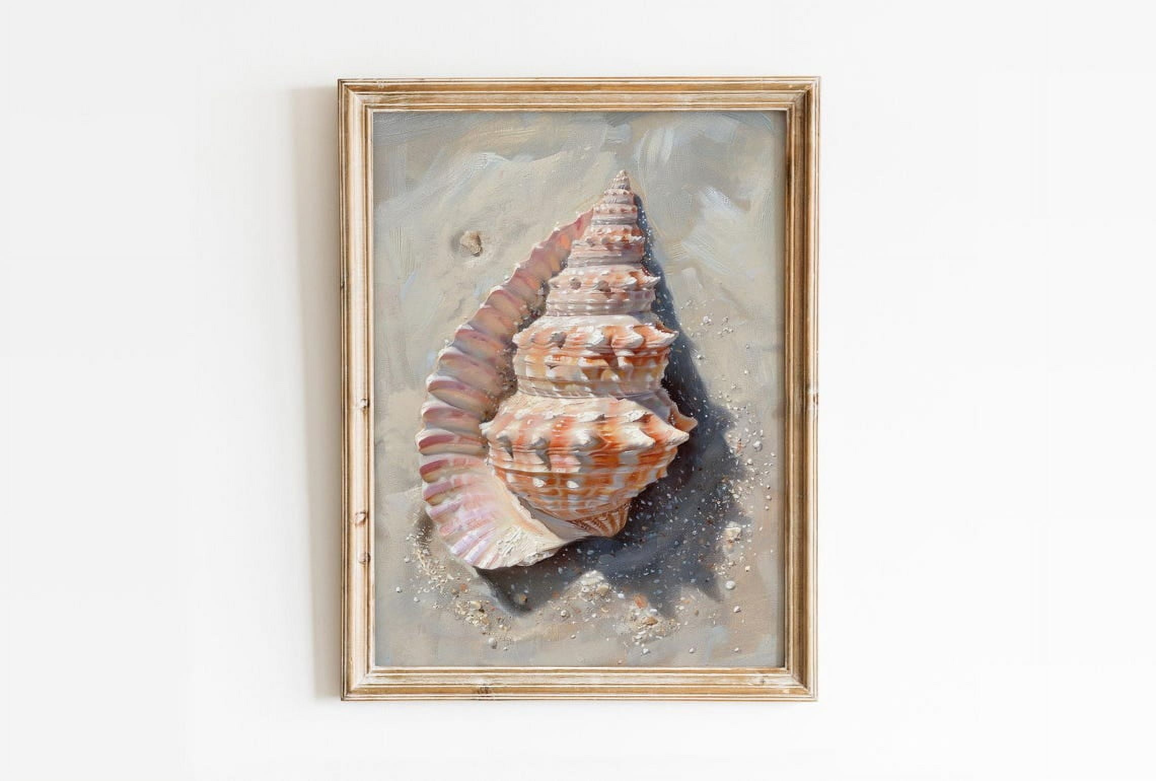 Kna Prints - 1 Pc Poster Conch Seashell On Beach Wall Art, Trendy ...
