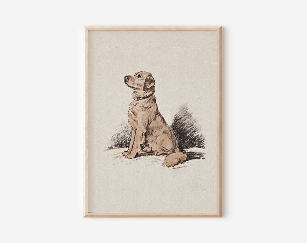 Kna Prints - 1 Pc Poster Dog Portrait Vintage Sketch Wall Art Yellow ...