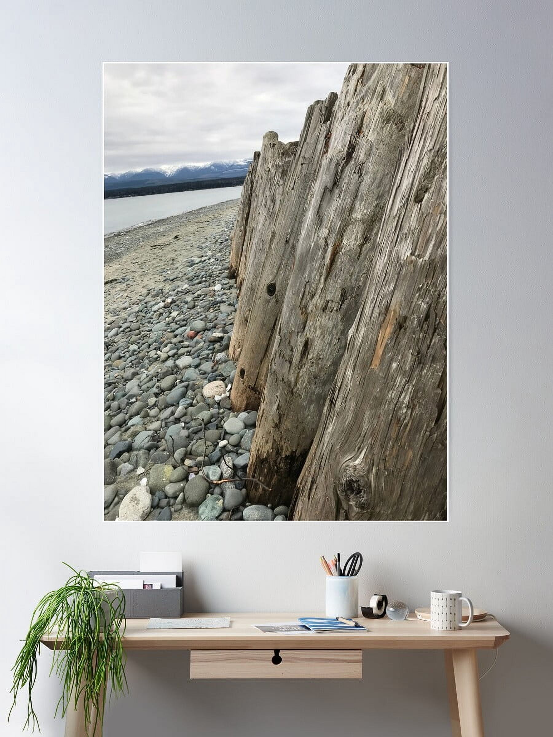 Kna Prints - 1 Pc Poster Driftwood At Goose Spit, UNFRAMED-24x36 ...