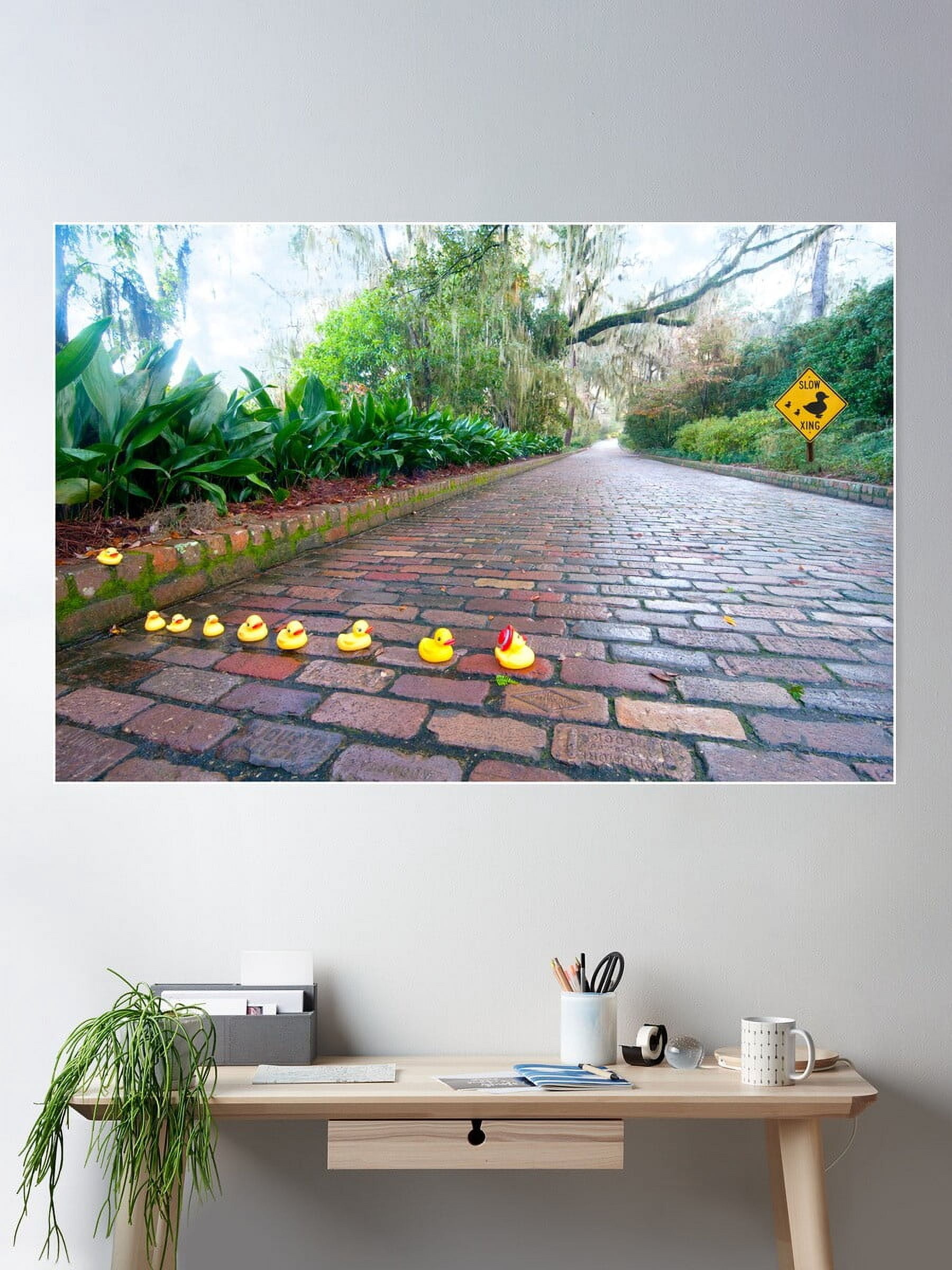 Kna Prints - 1 Pc Poster Duck Crossing Rubber Ducks Cross Road ...