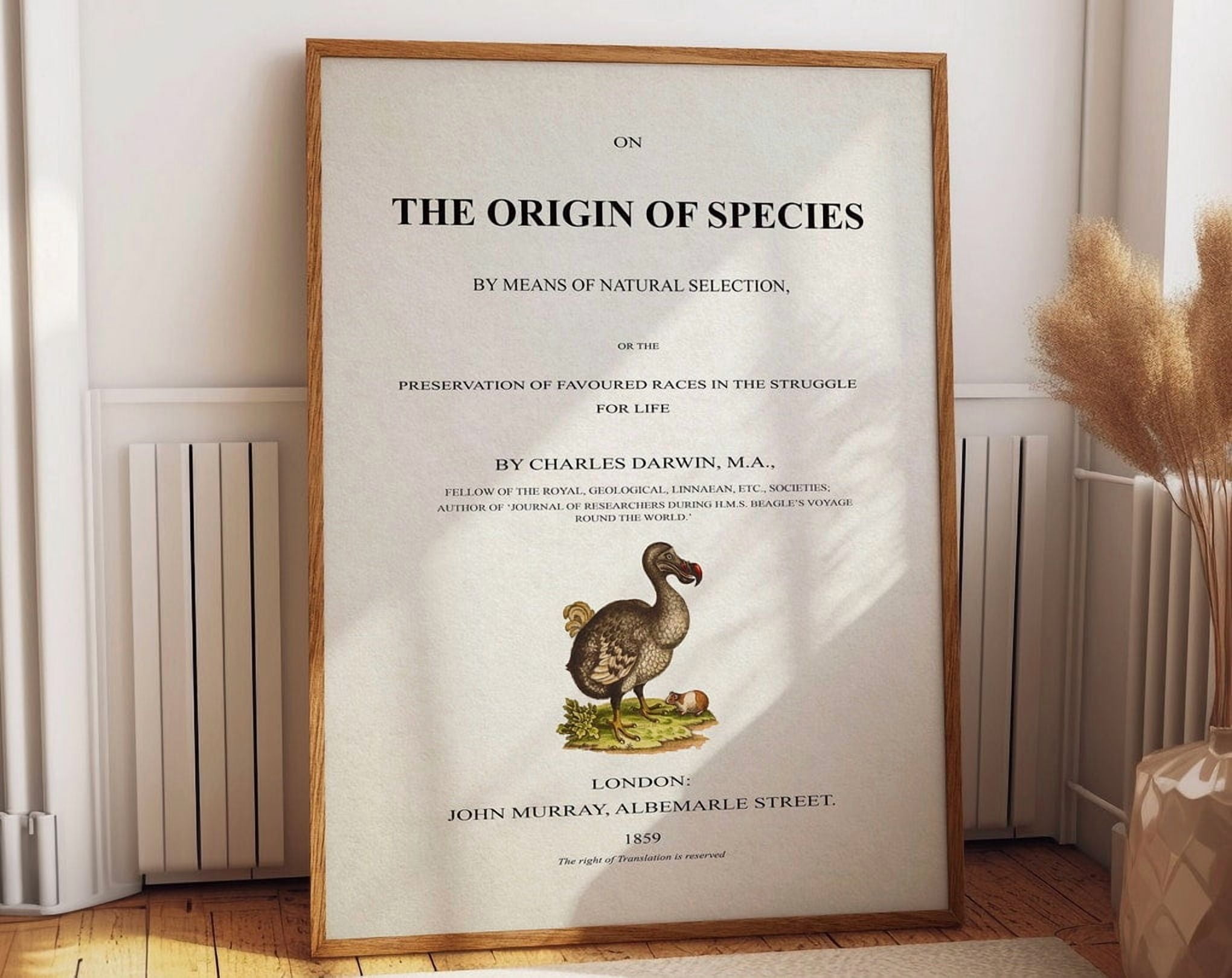 Kna Prints - 1 Pc Poster Evolution Veiled: Stning Charles Darwin Title ...