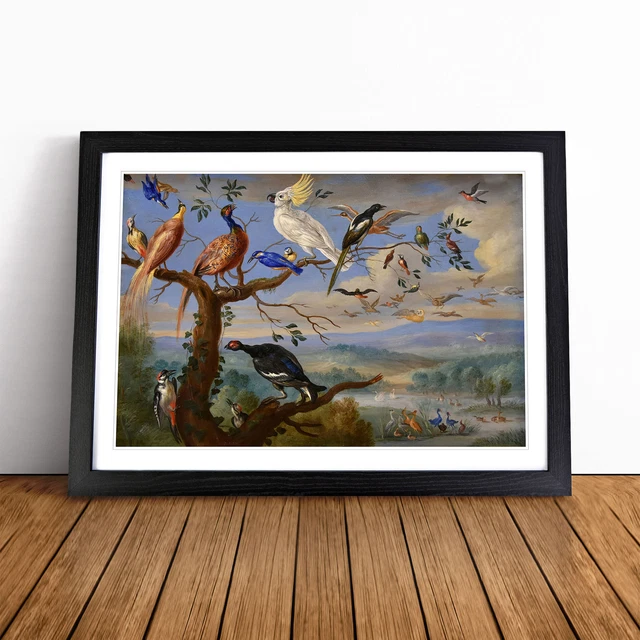 Kna Prints - 1 Pc Poster Exotic Birds By Jan Van Kessel Wall Poster ...