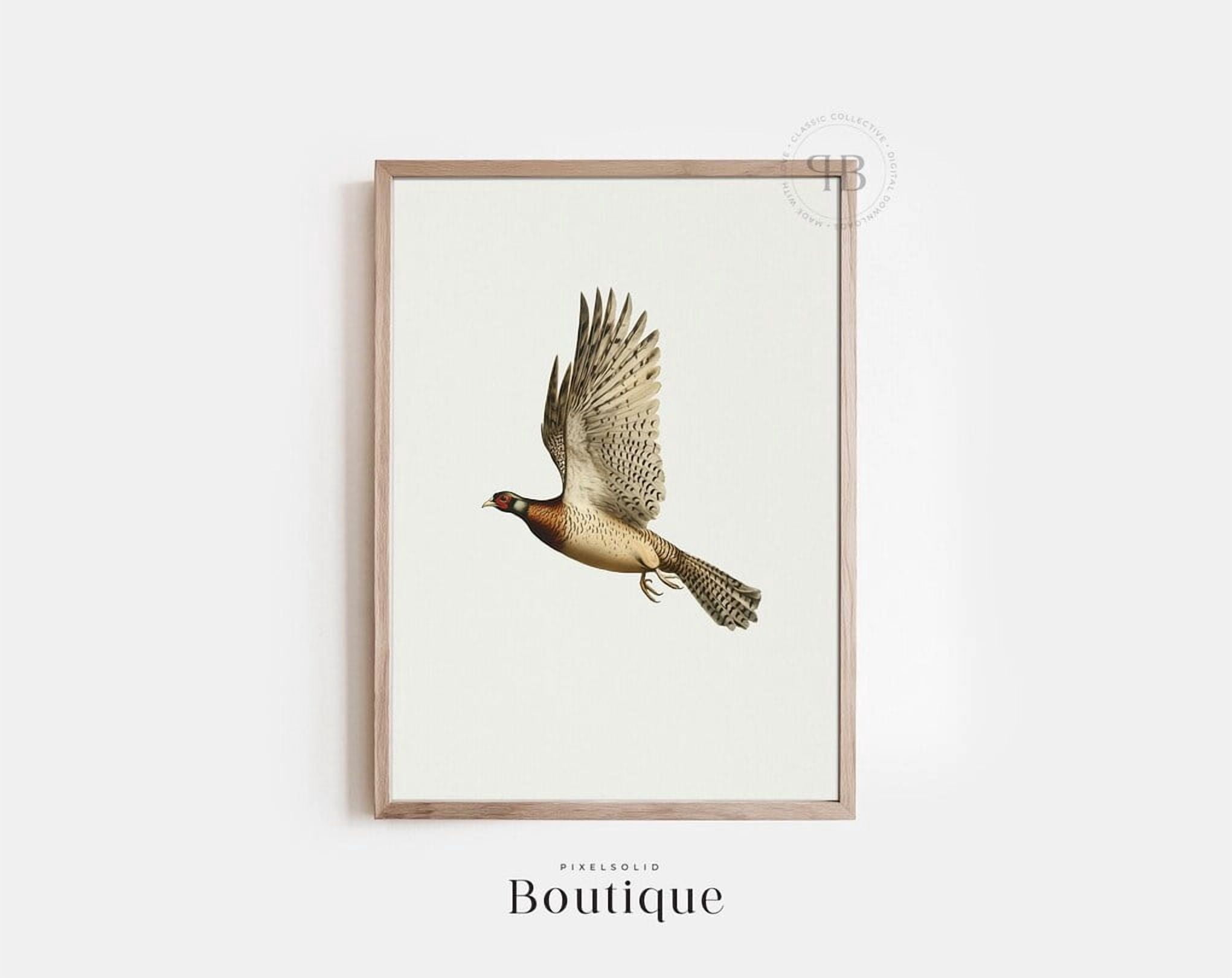 Kna Prints - 1 Pc Poster Flying Pheasant Illustration Print Rustic ...