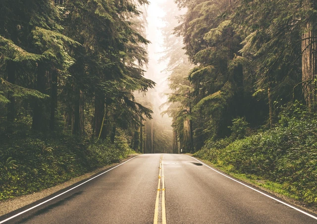 Kna Prints - 1 Pc Poster Forest Road Poster Road Trip Camping Gift ...