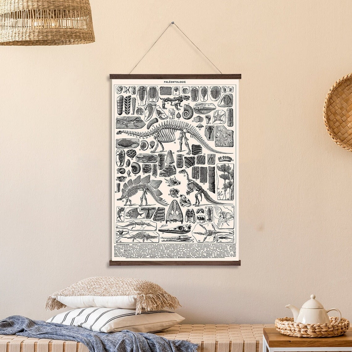 Kna Prints - 1 Pc Poster Fossil Skeletons And Dinosaur Bones ...