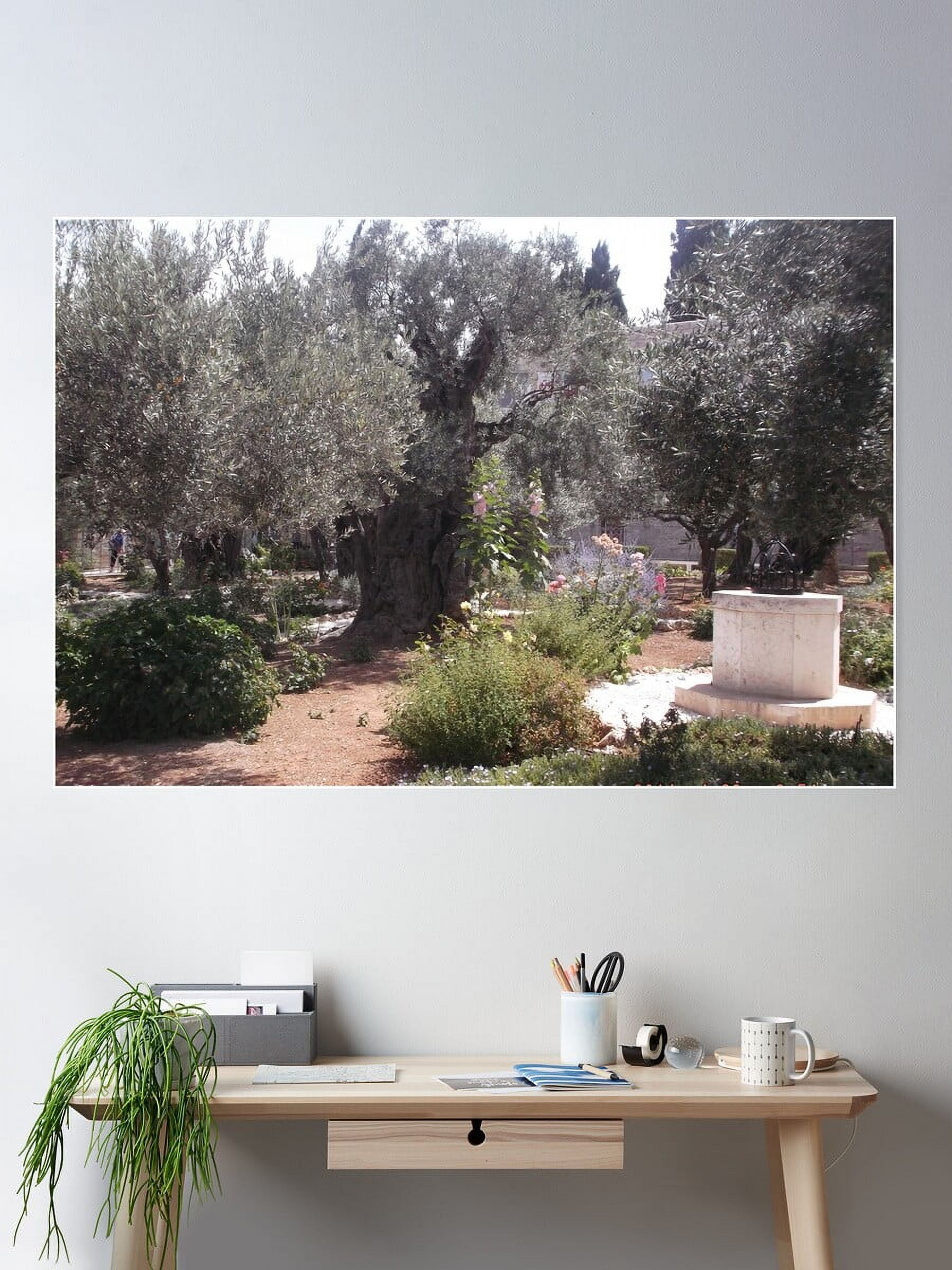 Kna Prints - 1 Pc Poster Gardens Of Gethsemane, UNFRAMED-12x18 ...