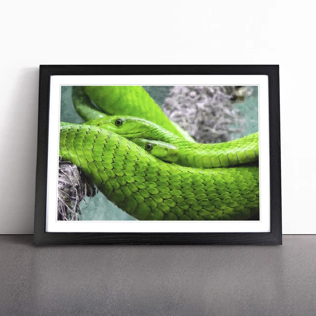 Kna Prints - 1 Pc Poster Green Mamba Snakes Wall Poster Decor Living ...
