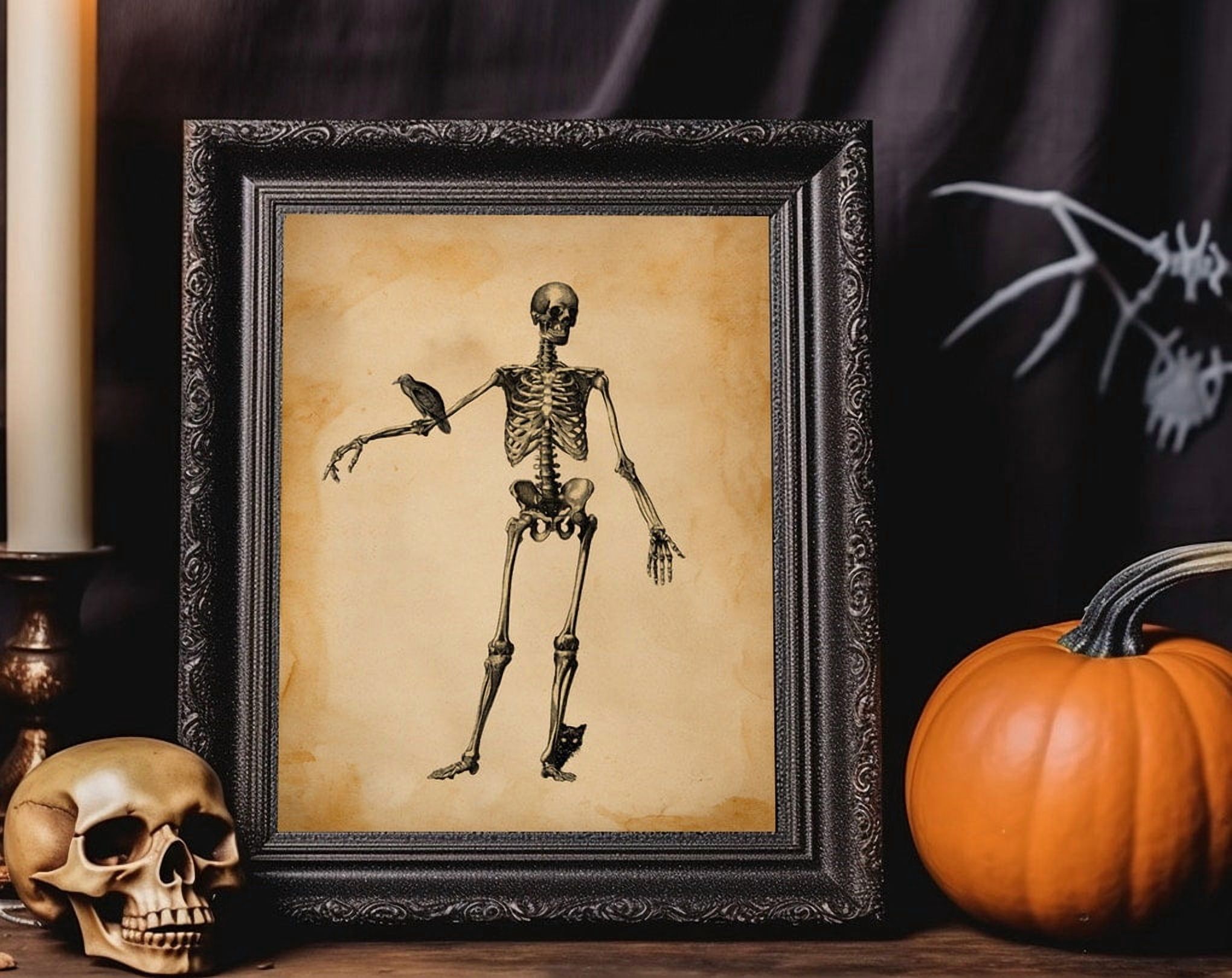 Kna Prints - 1 Pc Poster Halloween Skeleton Standing With Raven On Arm ...