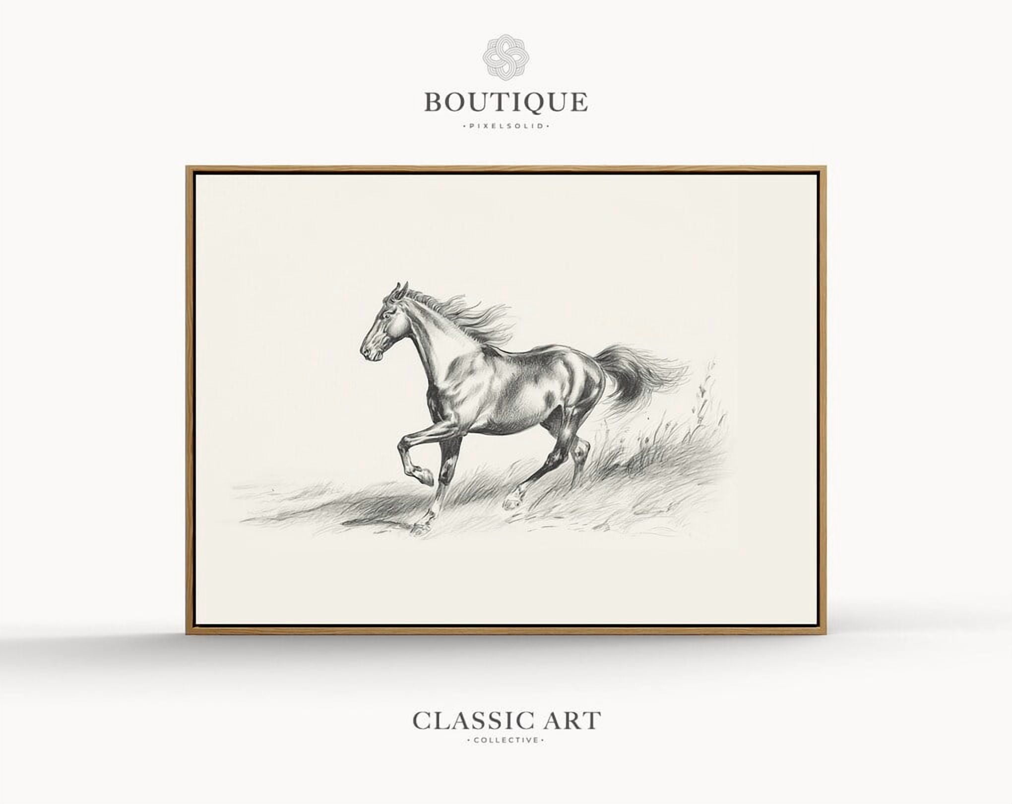 Kna Prints - 1 Pc Poster Horse Sketch, Minimalist Farmhouse Animal ...