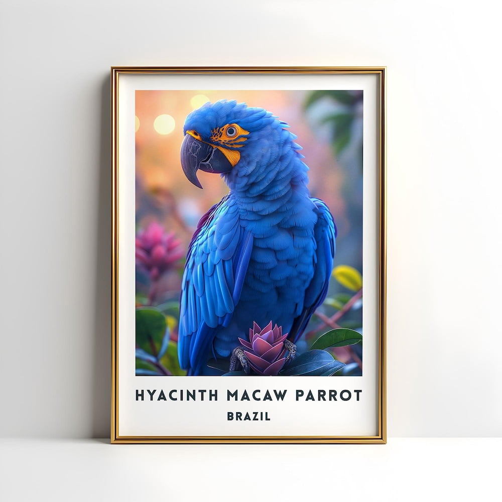 Kna Prints - 1 Pc Poster Hyacinth Macaw Parrot , Brazil Travel , Blue ...