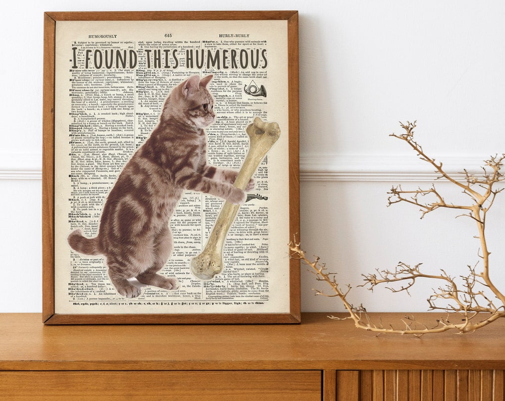 Kna Prints - 1 Pc Poster I Fod This Humerous, Fny Print, Fny Wall Art ...