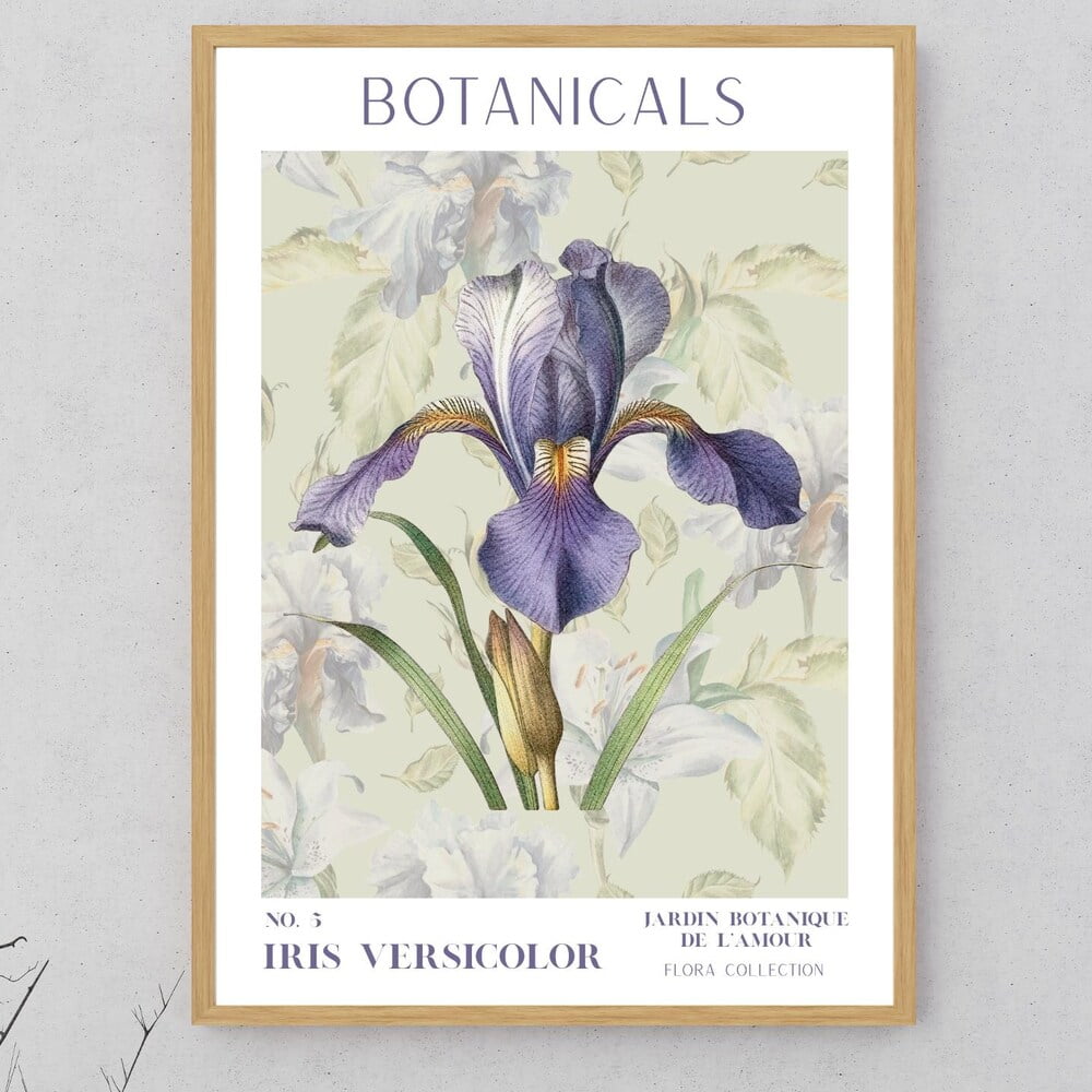 Kna Prints - 1 Pc Poster Iris Botanical Print | Vintage Floral Wall Art | | French Country Decor ...
