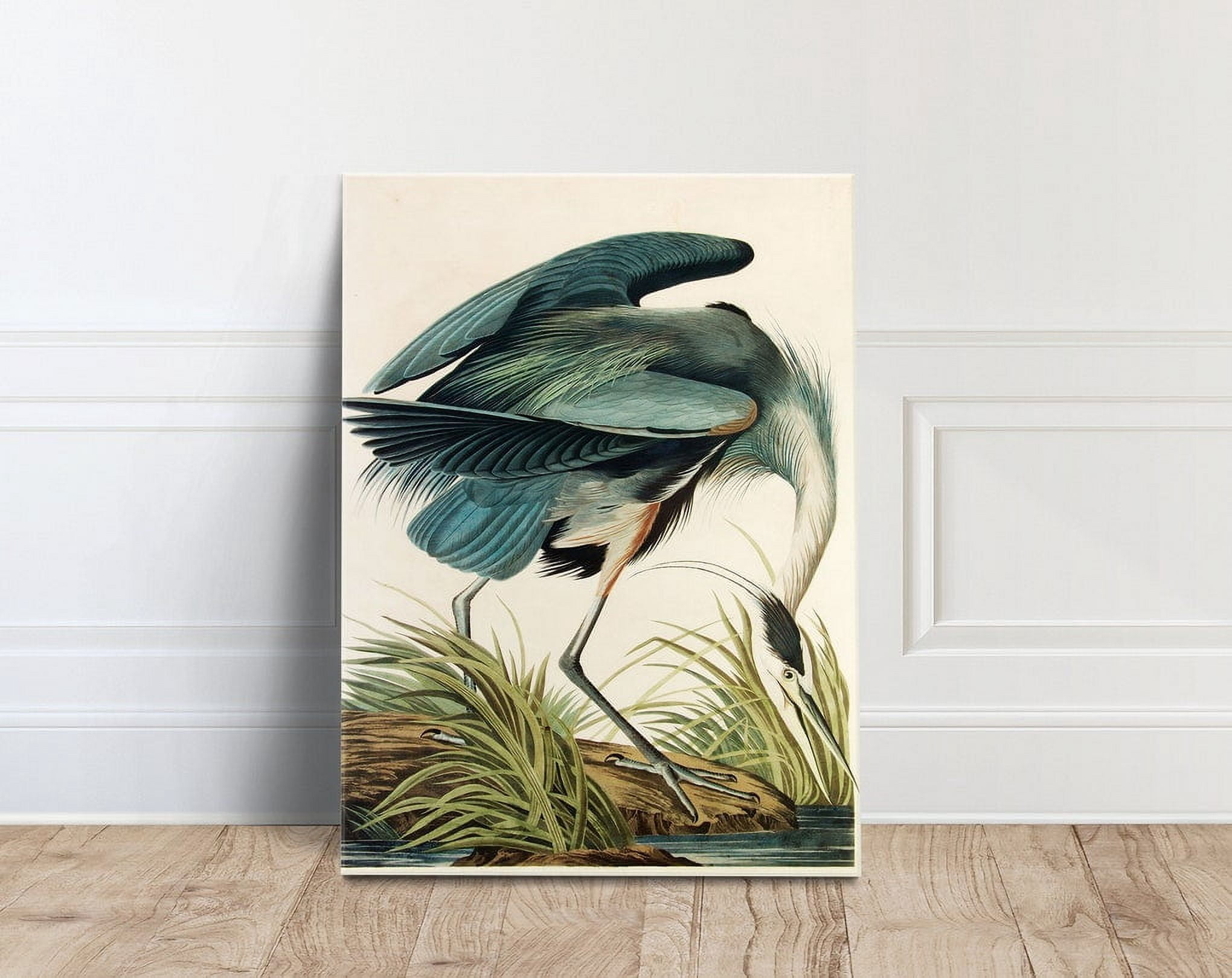 Kna Prints - 1 Pc Poster John James Audubon Wall Art Great Blue Heron ...