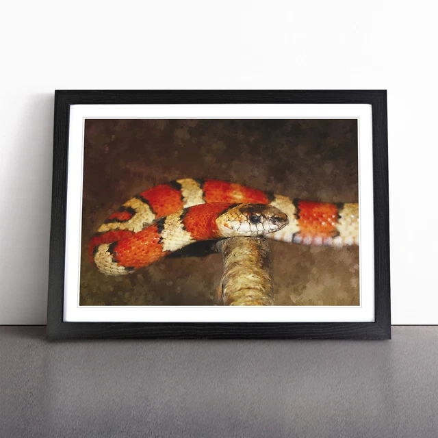 Kna Prints - 1 Pc Poster King Snake Wall Poster Home Decor Living Room ...