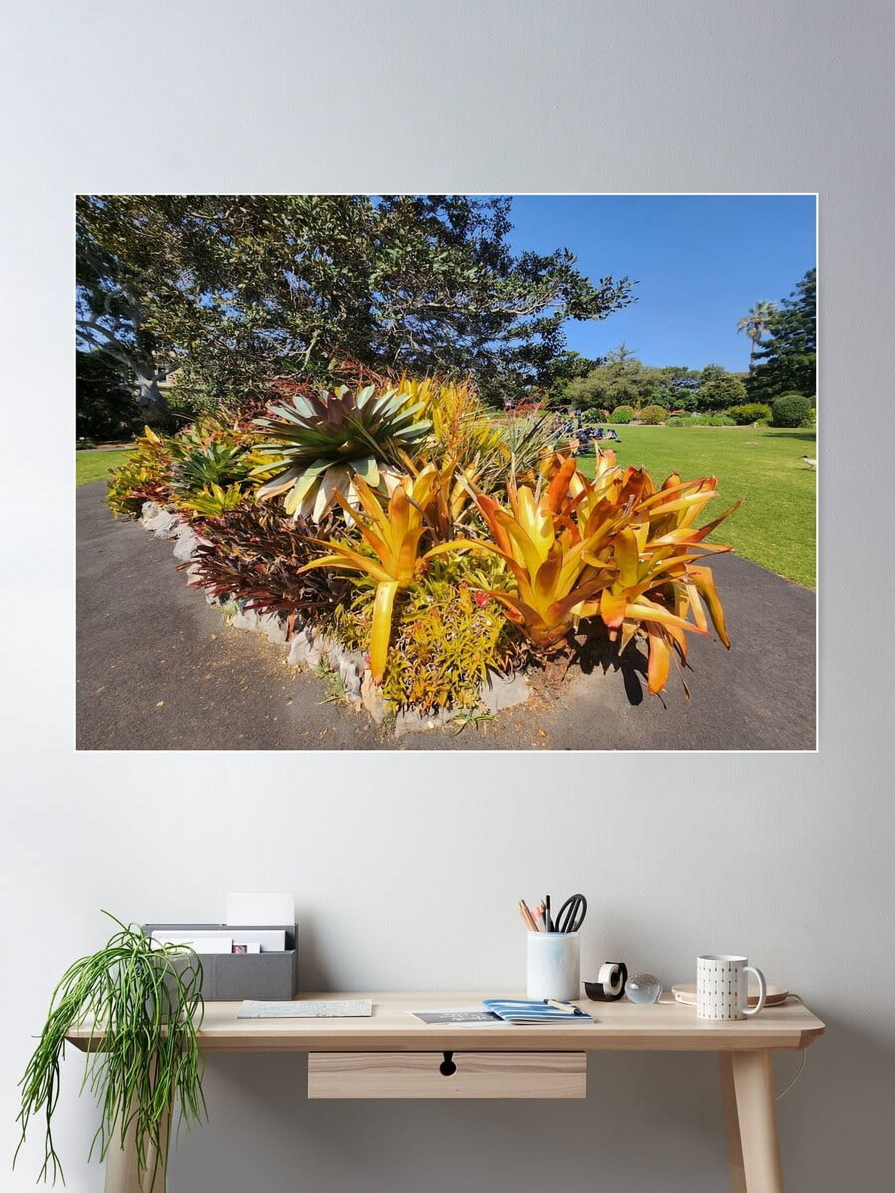 Kna Prints - 1 Pc Poster Known From Secret Garden, UNFRAMED-16x24 ...