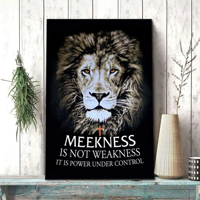 Kna Prints - 1 Pc Poster Meekness Is Not Weakness Poster Art ...