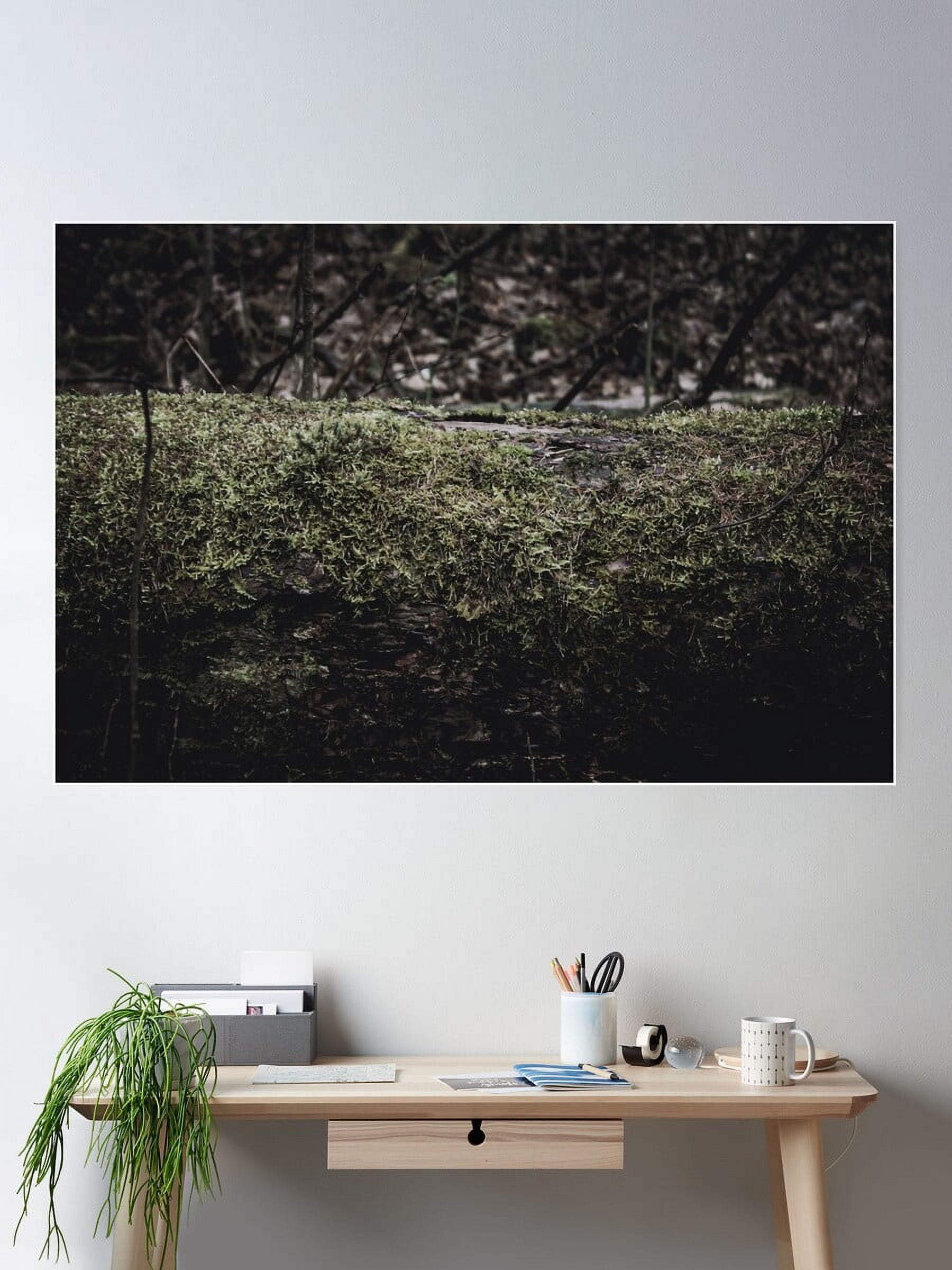 Kna Prints - 1 Pc Poster Mossy Side Of The Log, UNFRAMED-24x36 ...