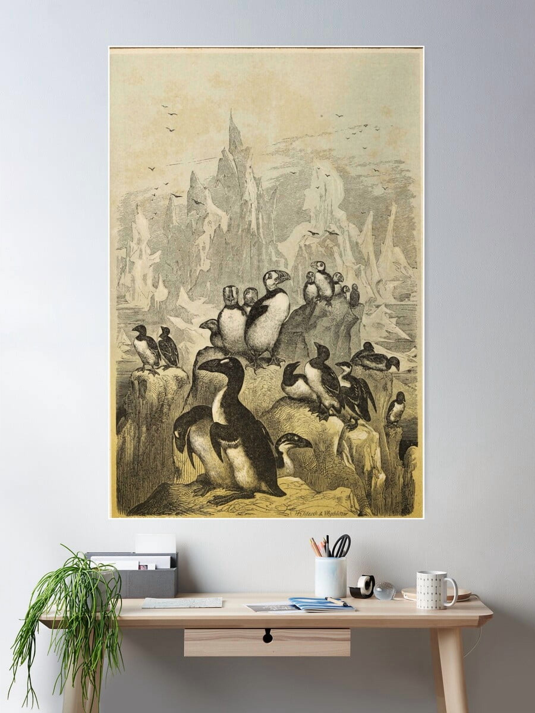 Kna Prints - 1 Pc Poster Naturalist Penguins And Puffins, UNFRAMED ...