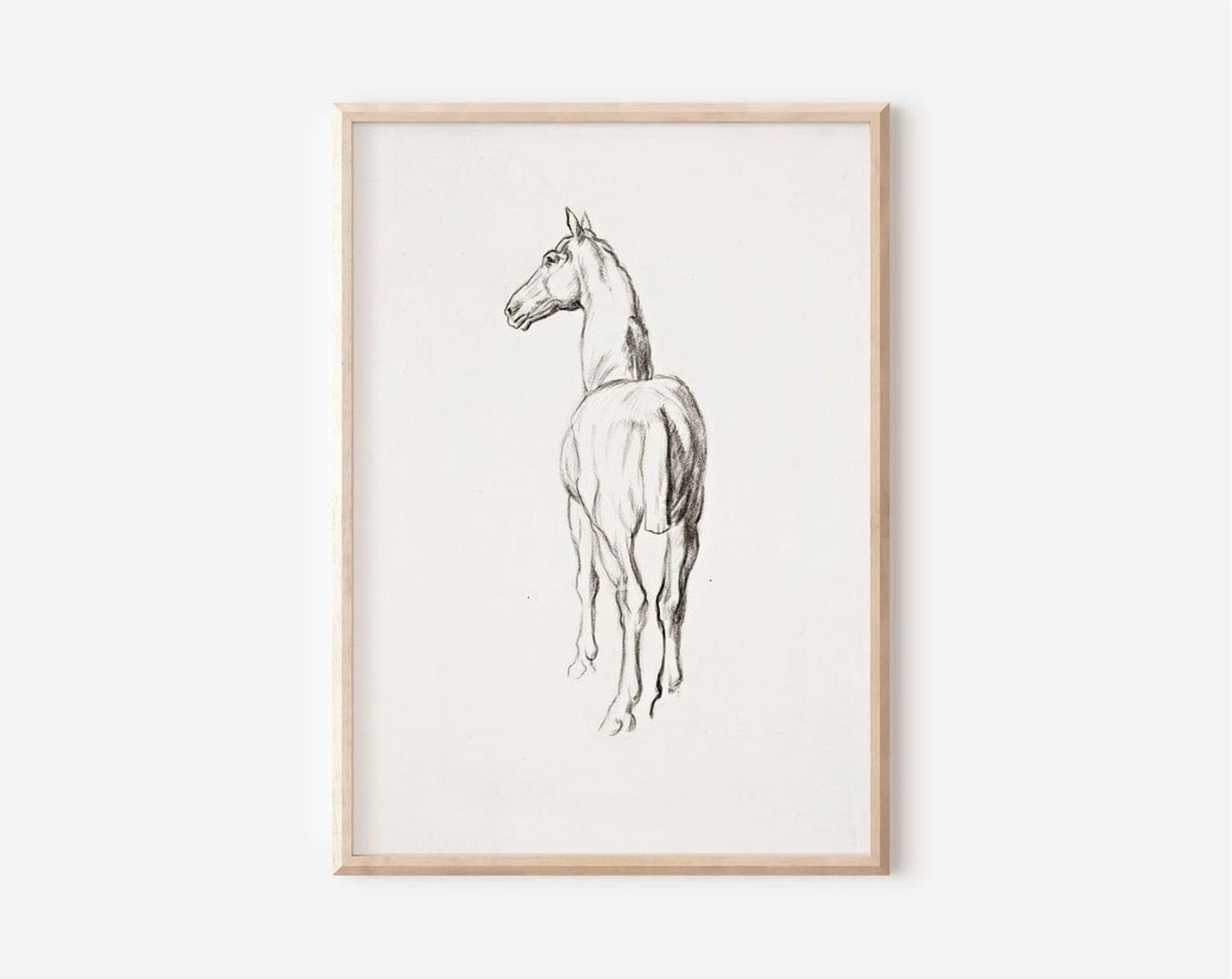 Kna Prints - 1 Pc Poster Neutral Wall Art Horse Sketch Downloadable Art ...
