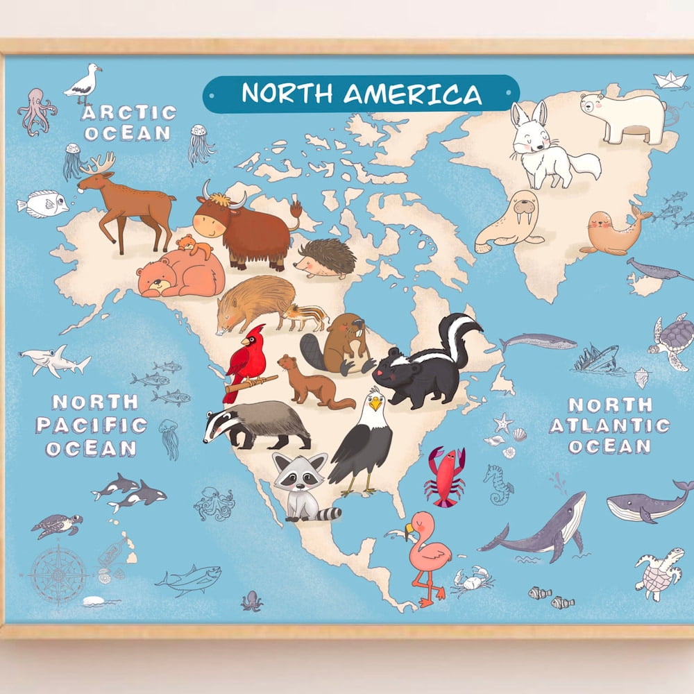 Kna Prints - 1 Pc Poster North America Continent Educational Print ...