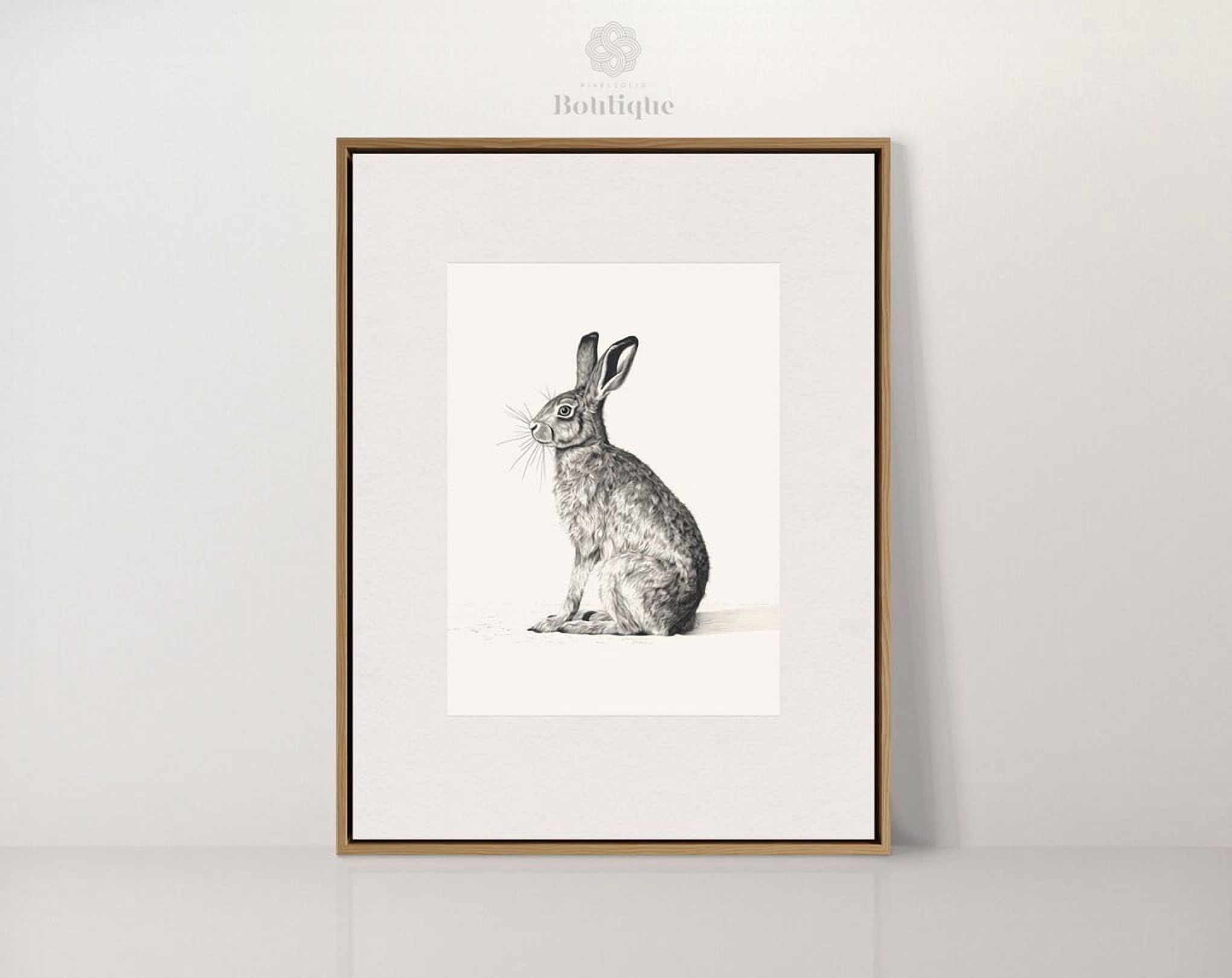 Kna Prints - 1 Pc Poster Old-Fashioned Etching Of Rabbit, Antique Art ...