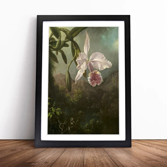 Kna Prints - 1 Pc Poster Orchid Blossoms By Martin Johnson Heade Wall ...