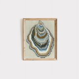 Kna Prints - 1 Pc Poster Oyster Coastal Wall Art Prints Trendy Wall ...