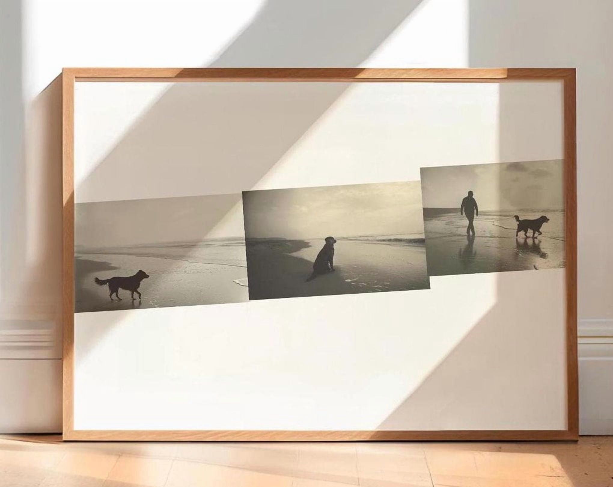 Kna Prints - 1 Pc Poster Photography Prints Nature, Black And White Art ...