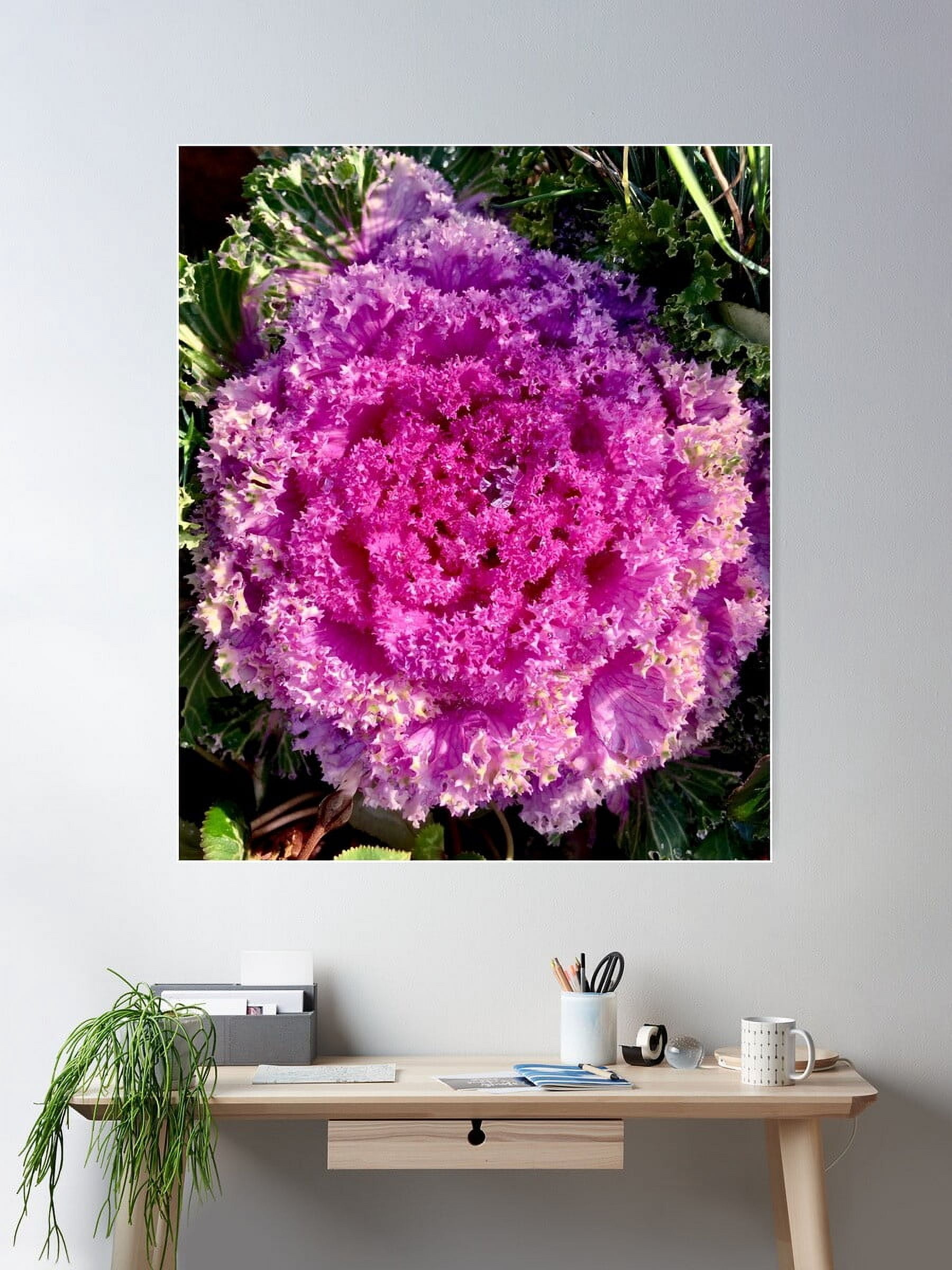 Kna Prints - 1 Pc Poster Rainy Cabbage Rose, UNFRAMED-12x18 - Walmart.com