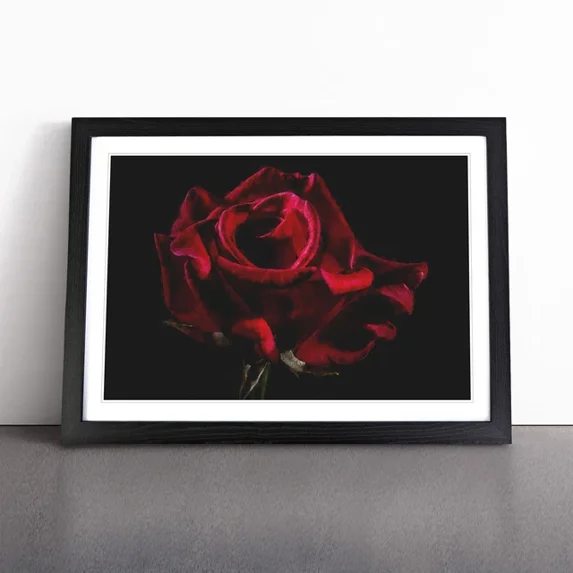 Kna Prints - 1 Pc Poster Red Rose Flower Vol.3 Wall Poster Decor ...