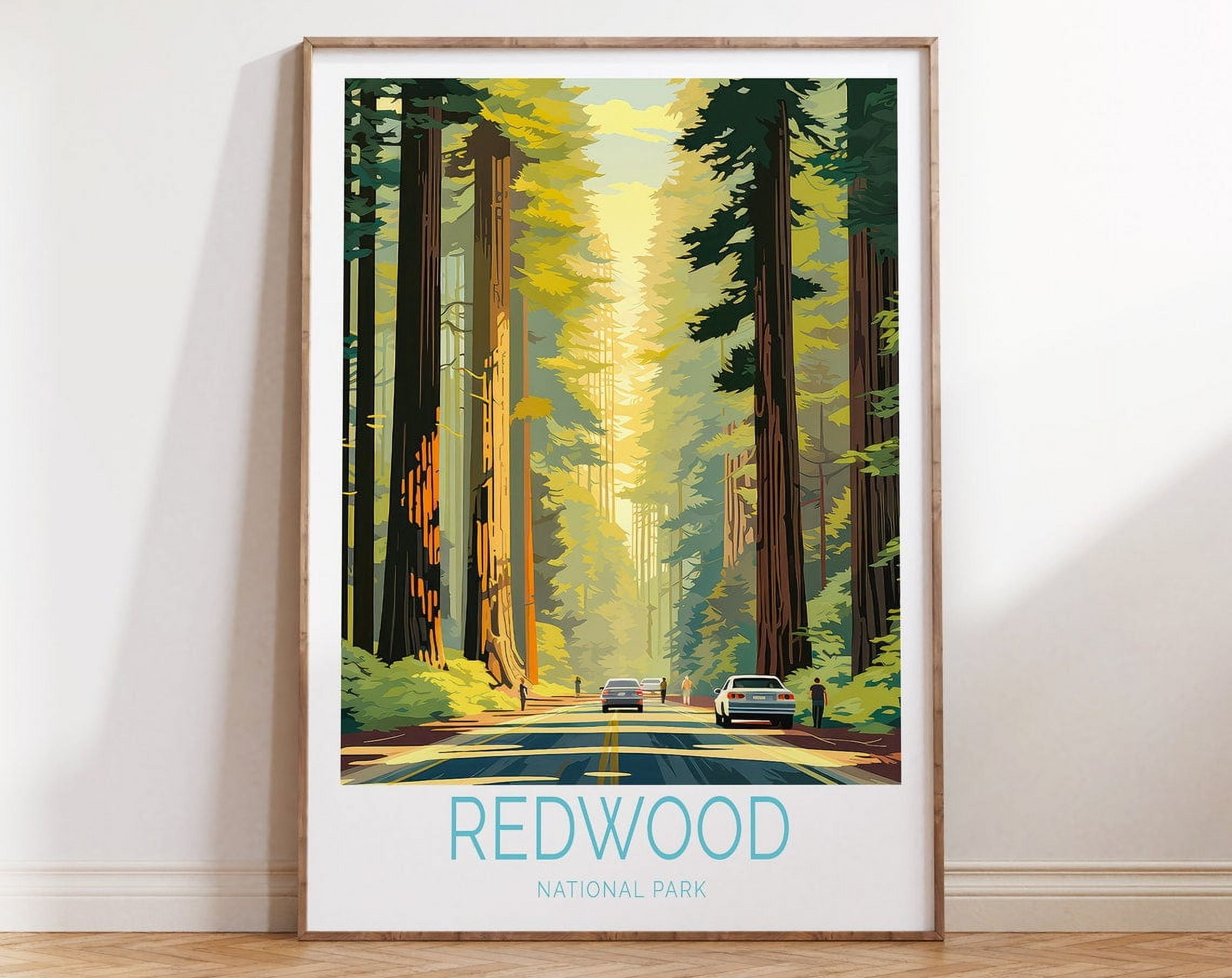 Kna Prints - 1 Pc Poster Redwood National Park Travel , Redwood Wall ...