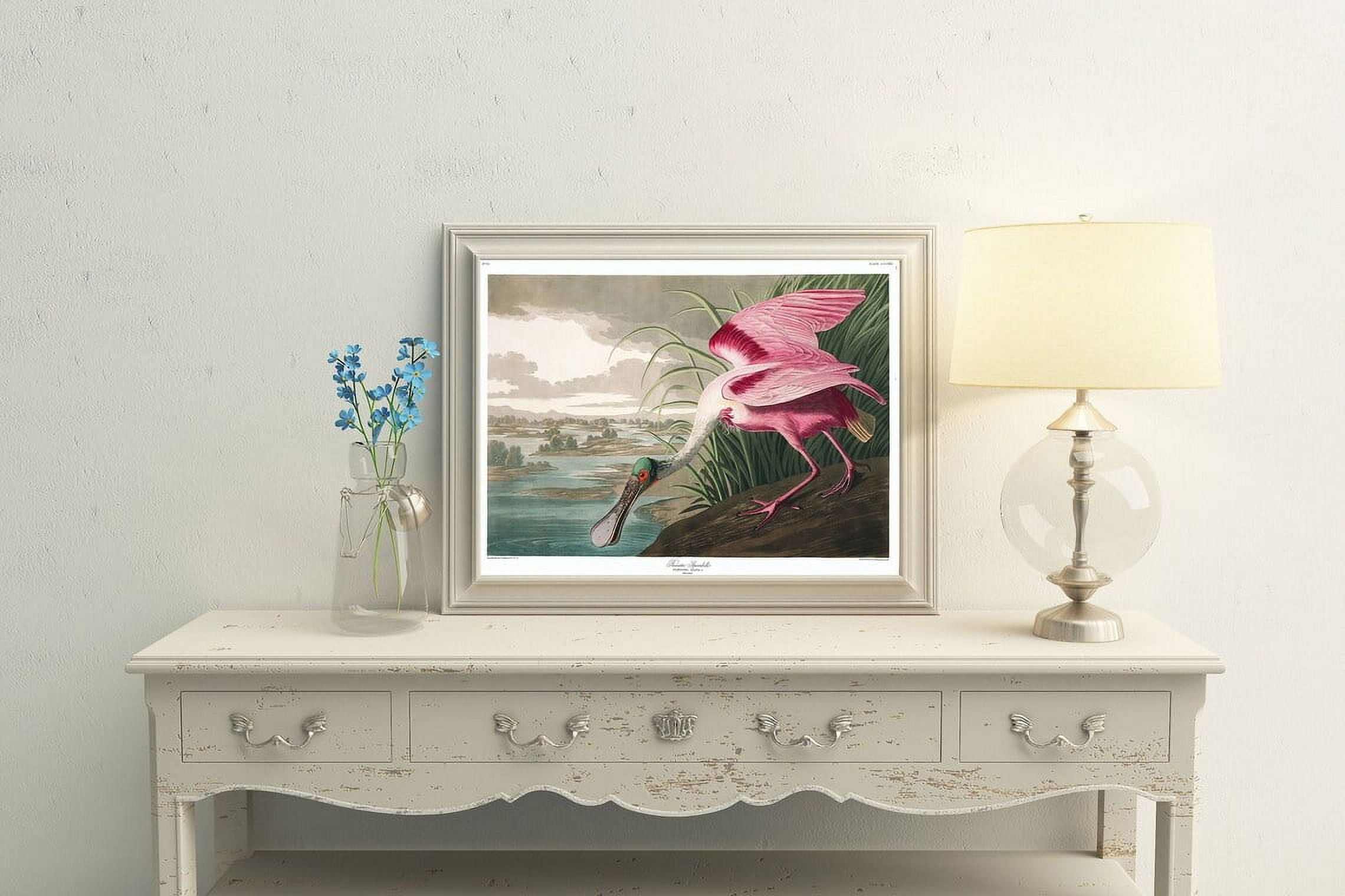 Kna Prints - 1 Pc Poster Roseate Spoonbill By John James Audubon Pink ...