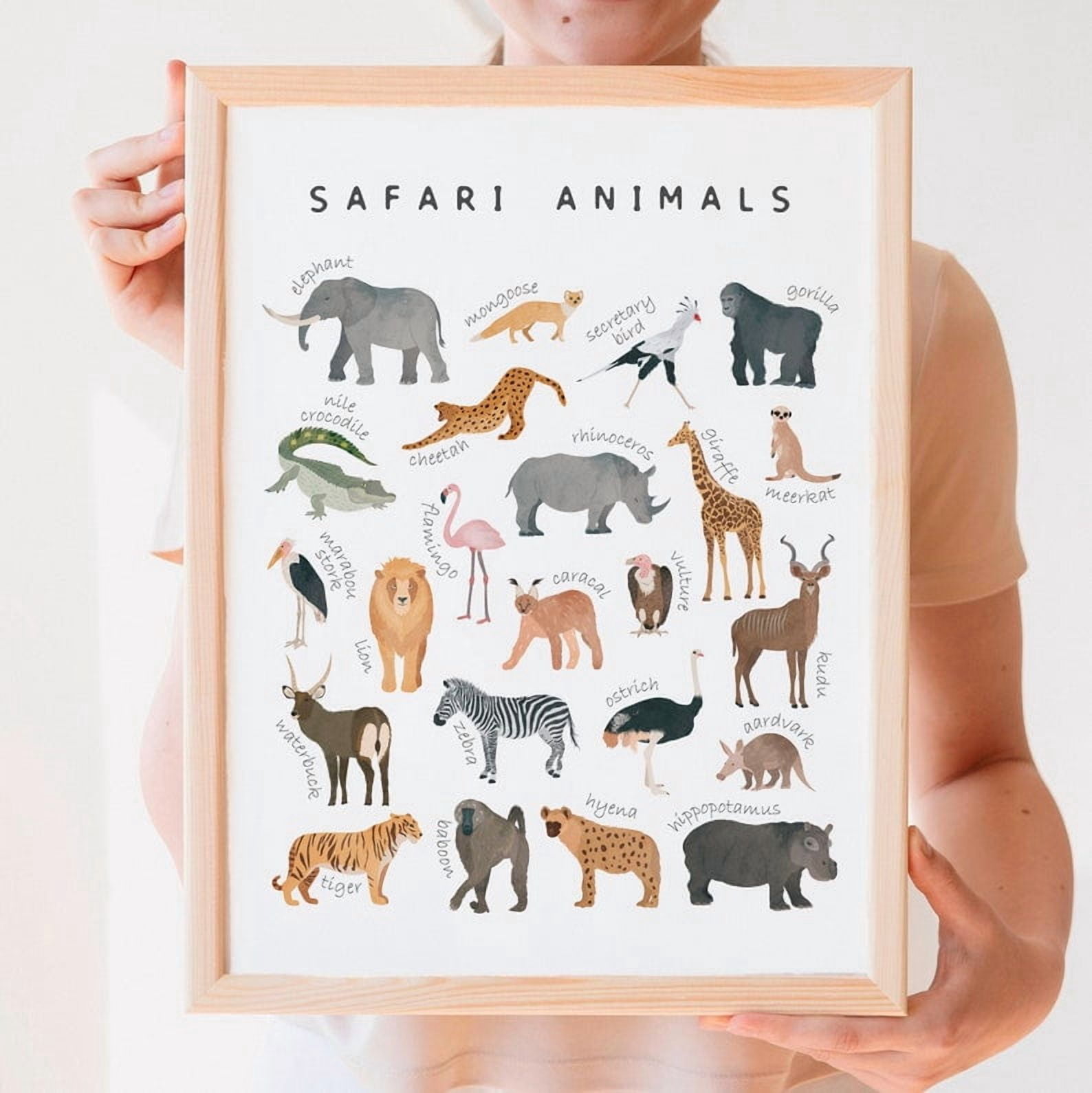 Kna Prints - 1 Pc Poster Safari Animals , Educational , Nursery Wall ...