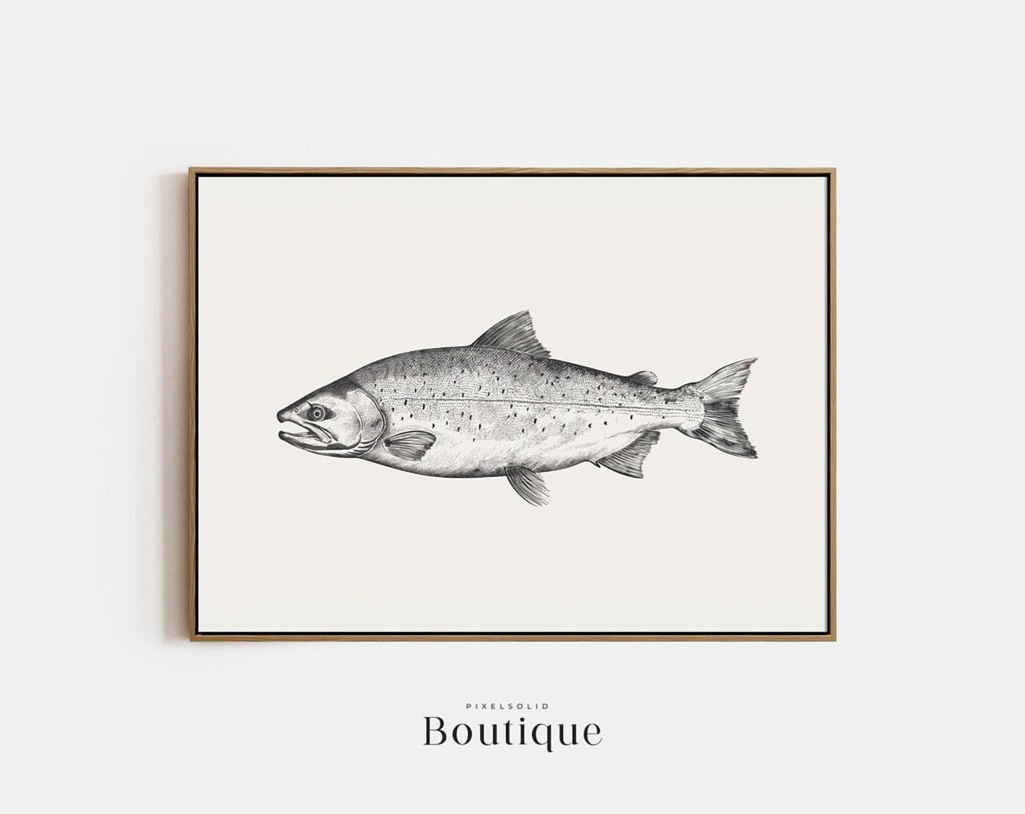 Kna Prints - 1 Pc Poster Salmon Sketch, Neutral Fish Illustration Print ...