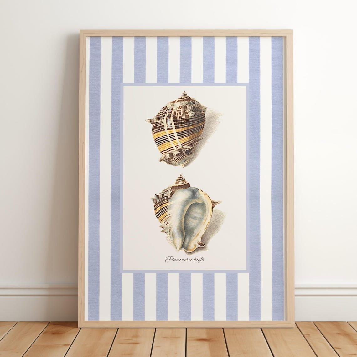 Kna Prints - 1 Pc Poster Sea Shell Print & Blue Stripes, Grandmillenial ...