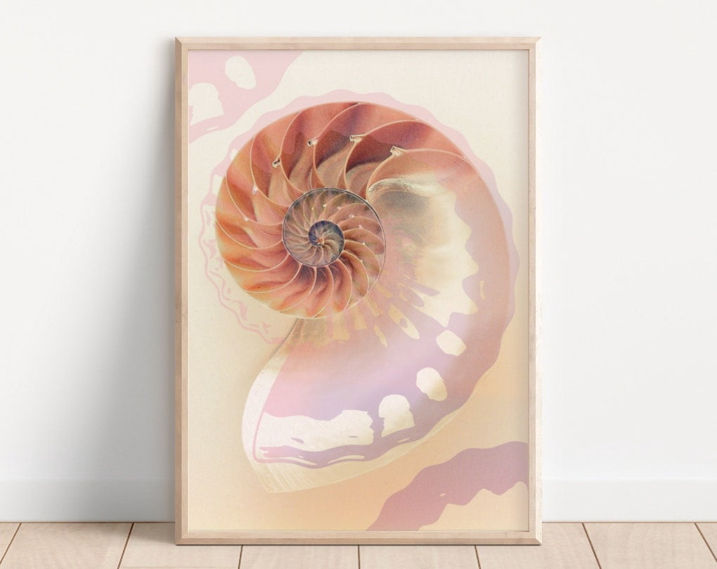 Kna Prints - 1 Pc Poster Sea Shell Print Mermaidcore Decor Beachy Wall ...