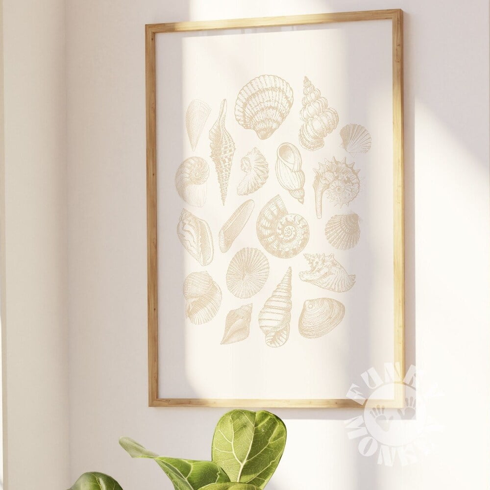 Kna Prints - 1 Pc Poster Sea Shells Wall Art Print, Vintage Coastal ...