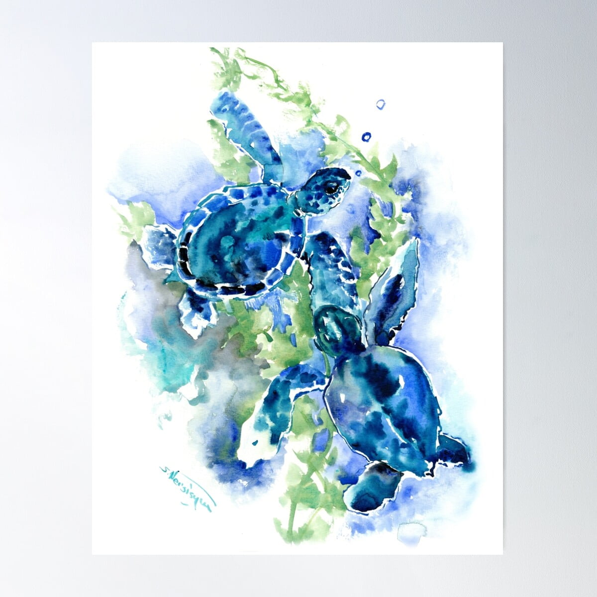Kna Prints - 1 Pc Poster Sea Turtles Turquoise Blue Design, UNFRAMED ...